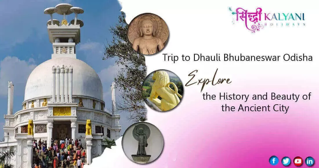 Trip to Dhauli Bhubaneswar Odisha – Exploring the History and Beauty of ...